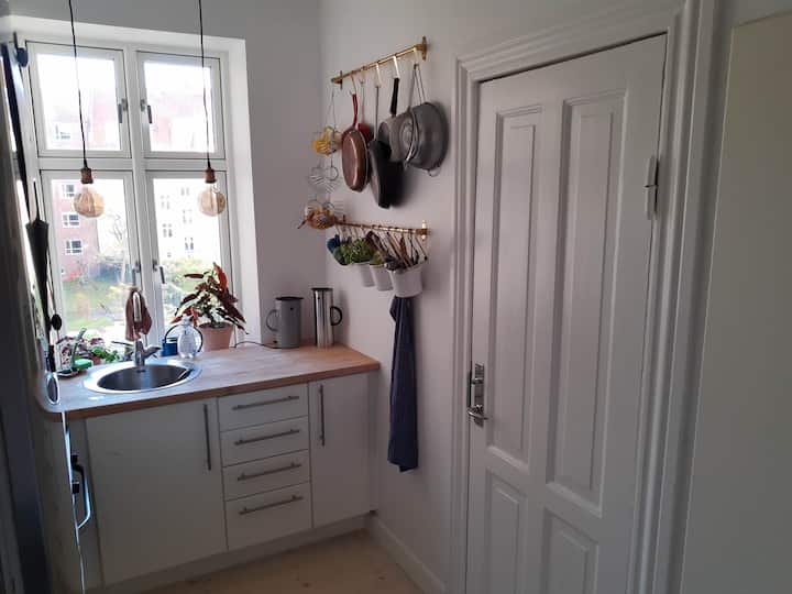 Quiet And Cosy 2 Room Apartment - Copenhaguen