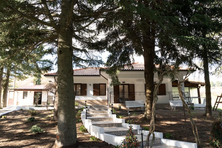 Tenuta Piano Campo - Doppia - Patti
