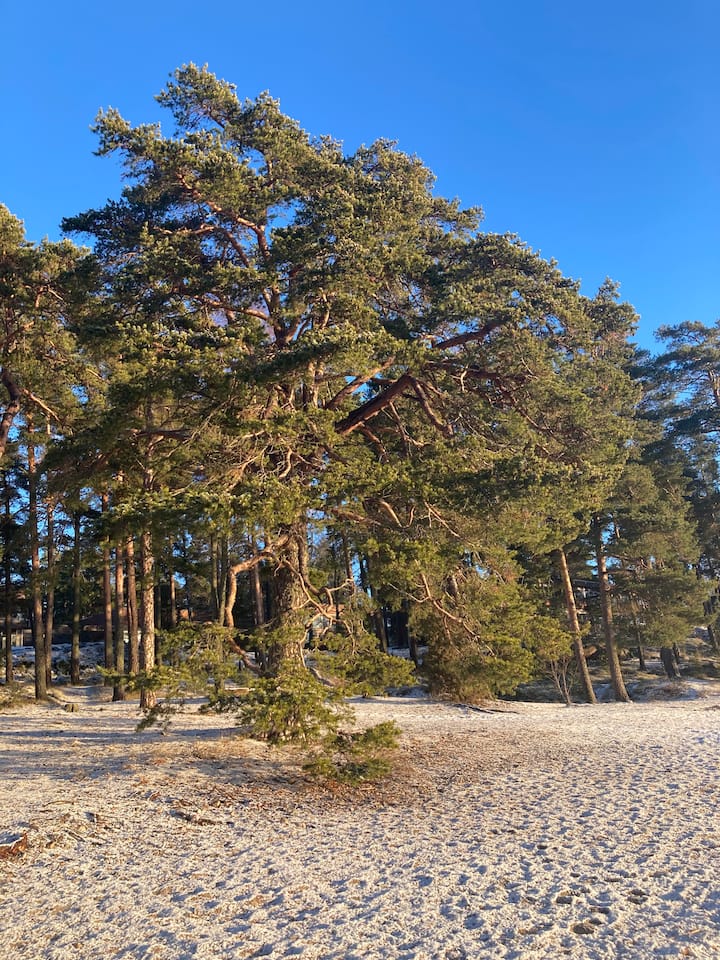 Paritalo Merenrannan Lähellä Ramsinrannassa - Sipoo