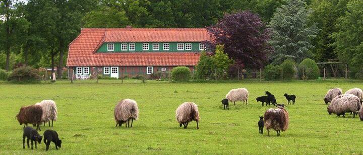 Ferien Auf Dem Burgmannshof! - Hude