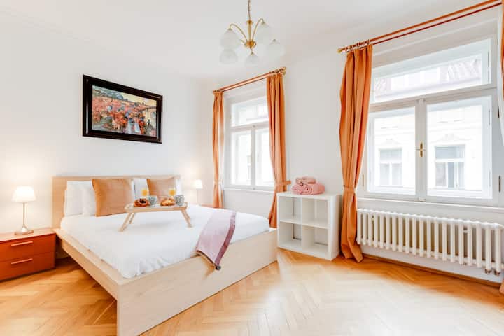 Quaint Sunny Apartment In Center - Prague