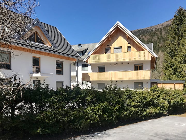 Capricorn Apartment Kg - Kranjska Gora