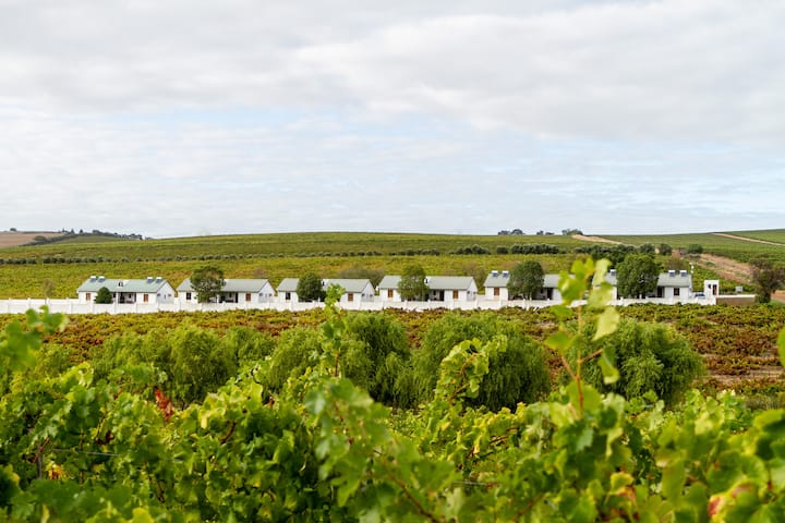 D'aria Guest Cottages - Goodwood
