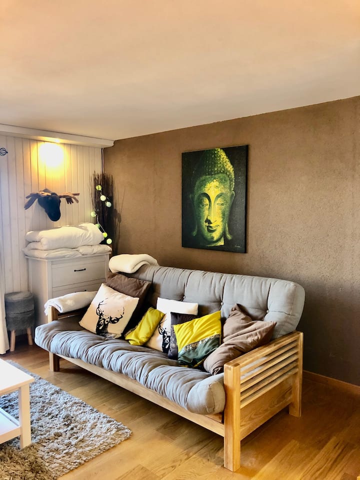 Studio 35m2 Avec Vue Sur Le Rhône - Nendaz