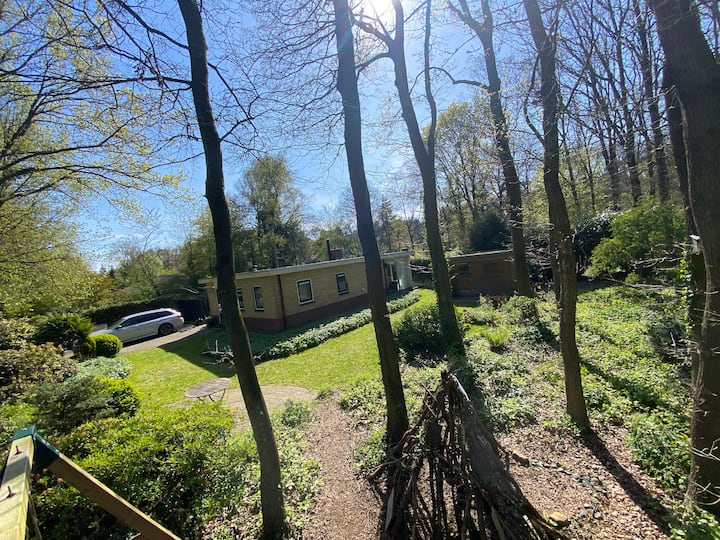 Bungalow Appelscha - Netherlands