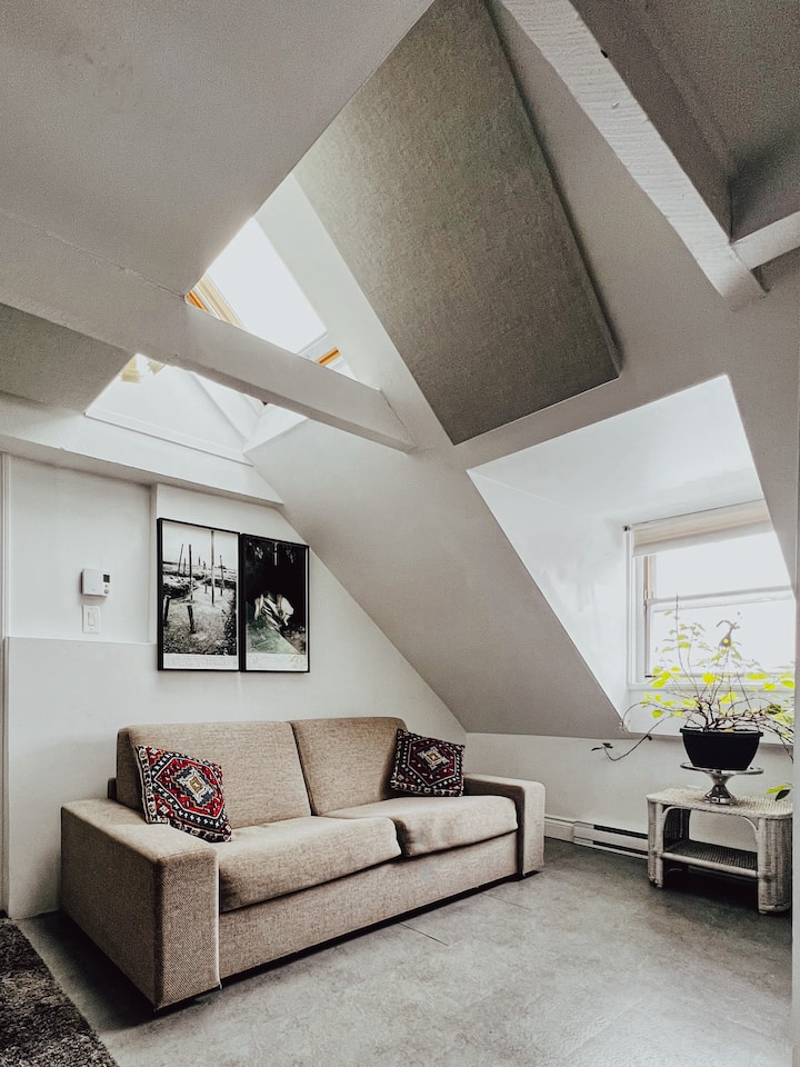 Beautiful Double Suite - Montreal