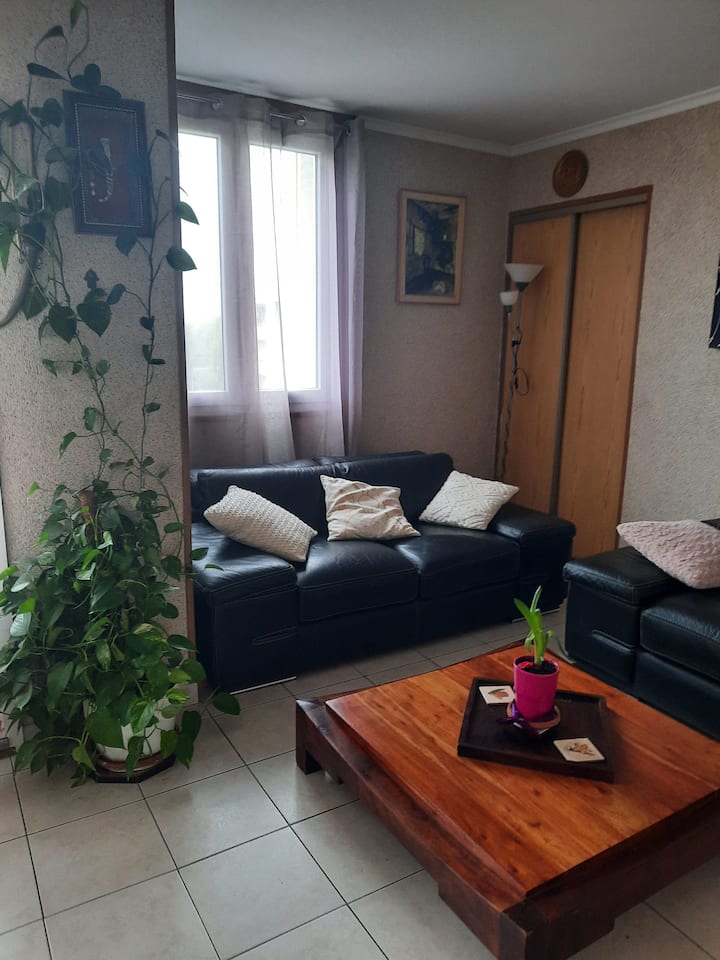 Appartement Lumineux Lyon 5 - Lyon