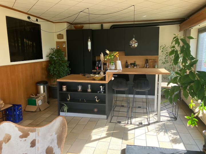 The Rest Lodge, The Blue Room -Promo Airport Team- - Verlaine