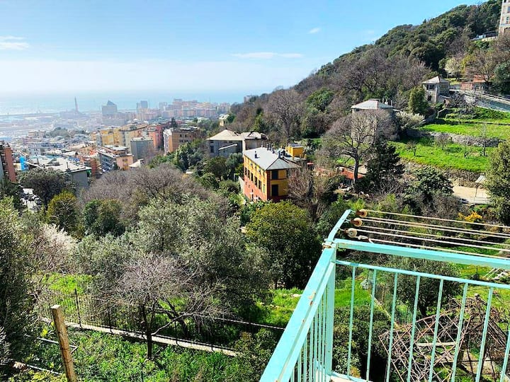 Genova Dall'alto - Italy