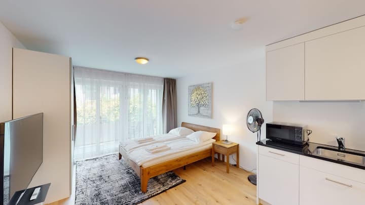 Terrific Studio In The City Center, Sunny  (Sun 2) - Zurich