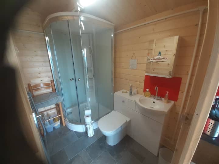 Moonlight View At The Birches - Kerry