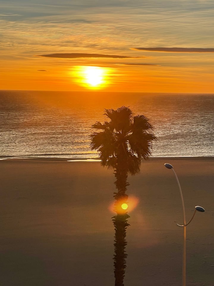T2 Moderne En Front De Mer - Canet-en-Roussillon