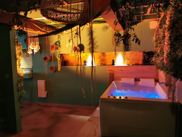 Appartement Cocon Jungle, Romantique Loveroom - Altkirch