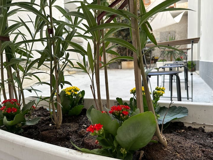 La Corte 25 - Marsala