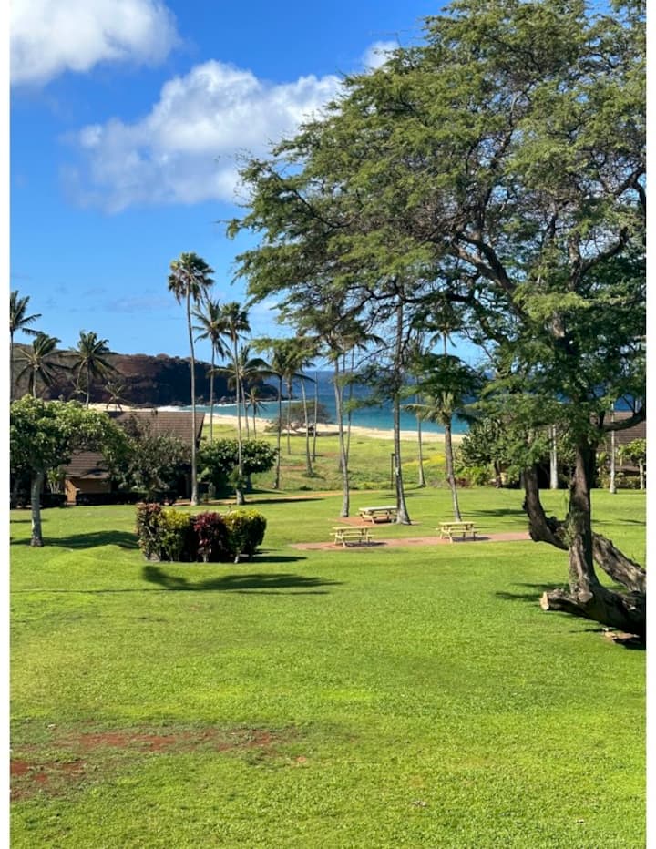 Kepuhi Beach Resort Oceanfront Gem! What A View! - Maunaloa, HI