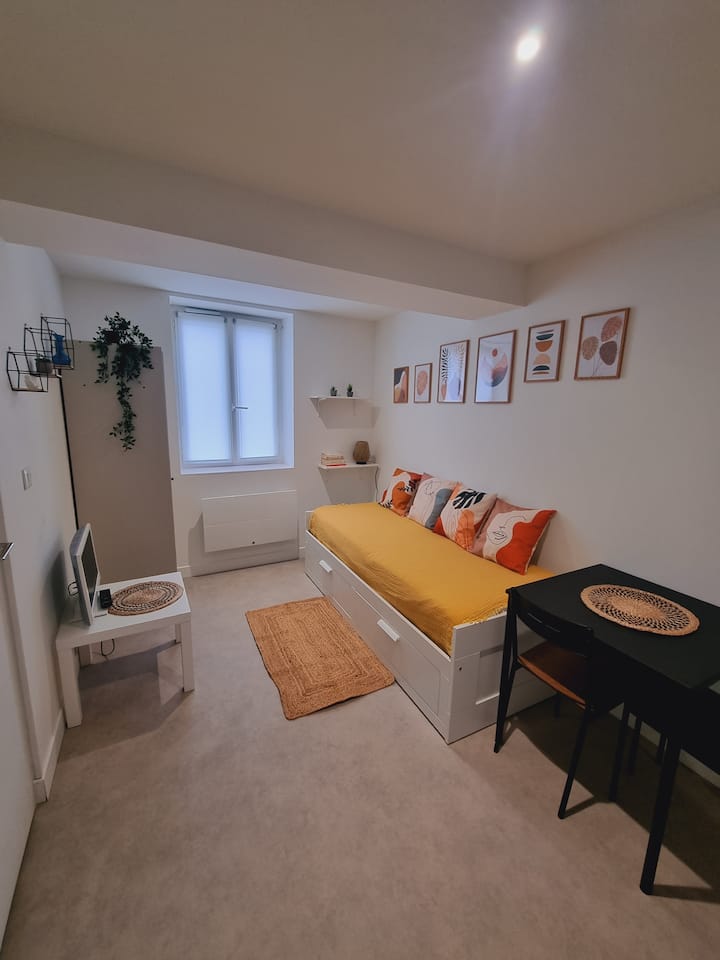 Charmant Studio « Gare Des Aubrais » - Saran