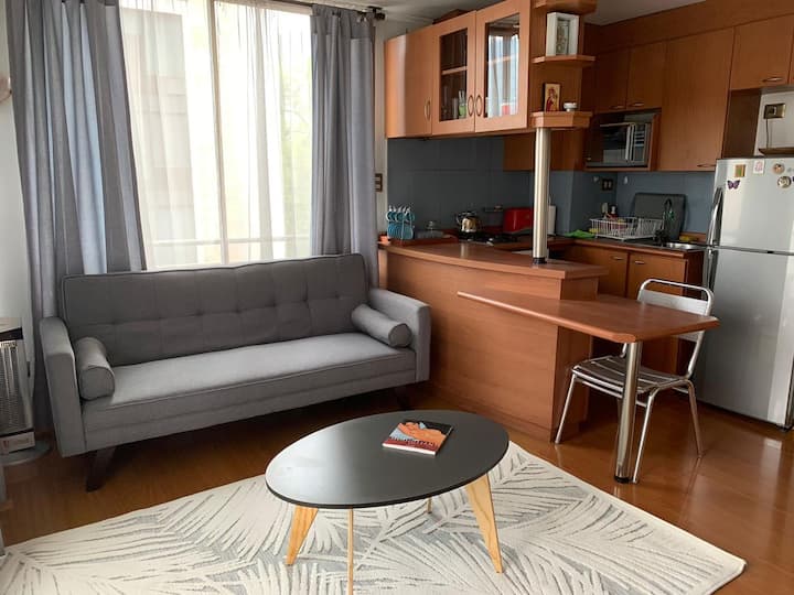 Great Apartment In The Heart Of Providencia - Santiago