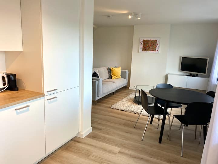 New Two Floor Two Bedroom Apartment Near Station! - Maastricht