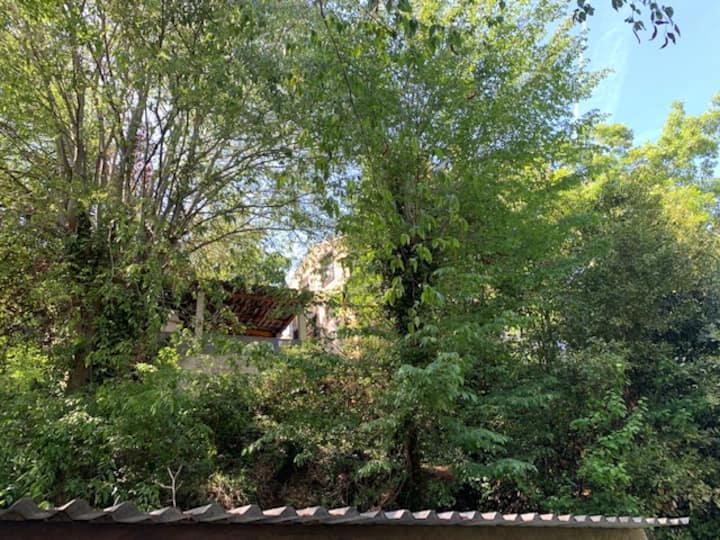 Appartement 2 Pièces Nice. - Nizza
