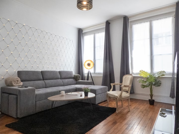 Cosyconfort F2 50m² Central Wifi+ Netflixprimevide - Meuse