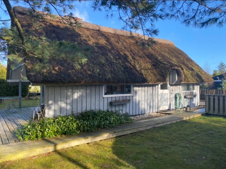 Et Rigtigt Sommerhus - Med Masser Af Charme! - Denmark