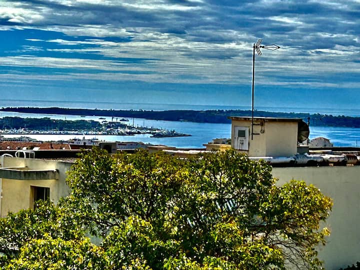 Appartement Hauteurs De Cannes - Golfe-Juan