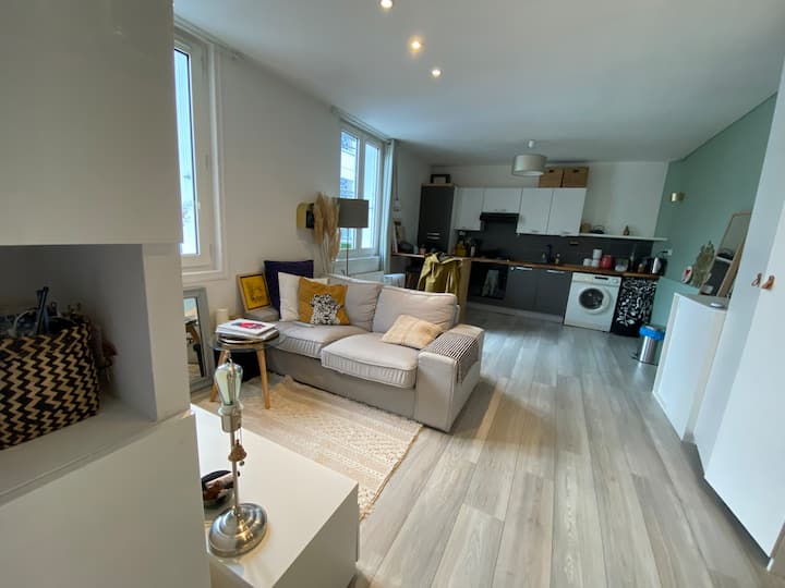 Appartement Cosy Et Lumineux - Nantes