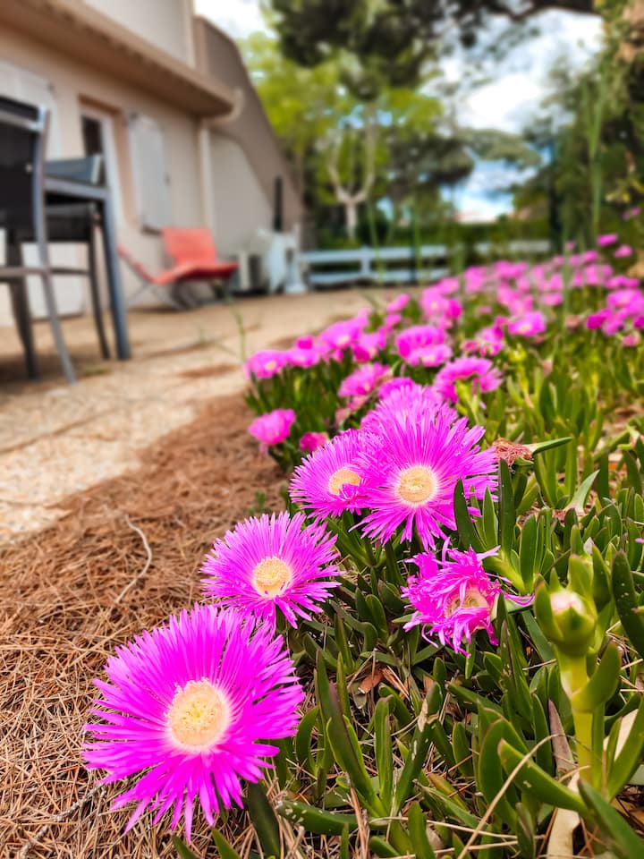 T3 à 500m De La Mer - Saint-Cyprien