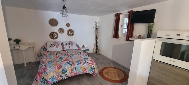 Studio En Camargue - Camargue