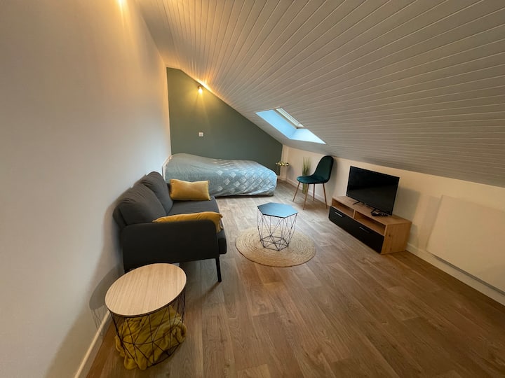 Charmant Studio En Plein Centre - Annecy