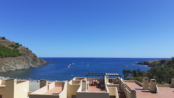 Pieds Dans L'eau-vue Panoramique-accès Direct Mer - Cerbère