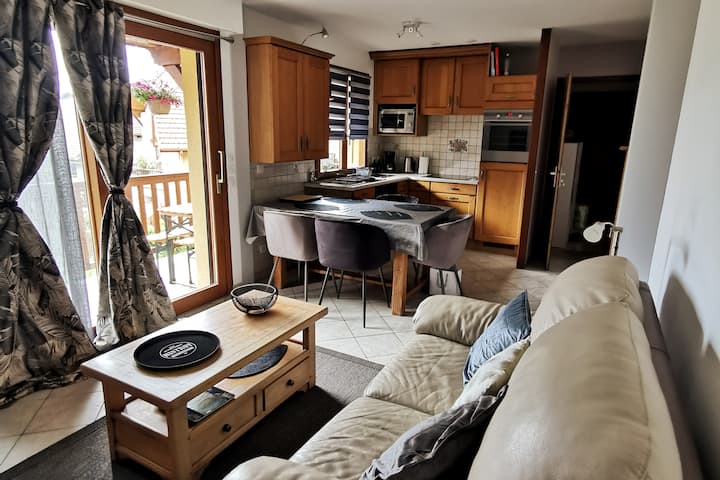 Appartement Cœur De Village - Menthon-Saint-Bernard