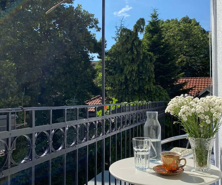 Rustic 2 Br Apt In Vračar W/terrace & Garden View - Belgrad