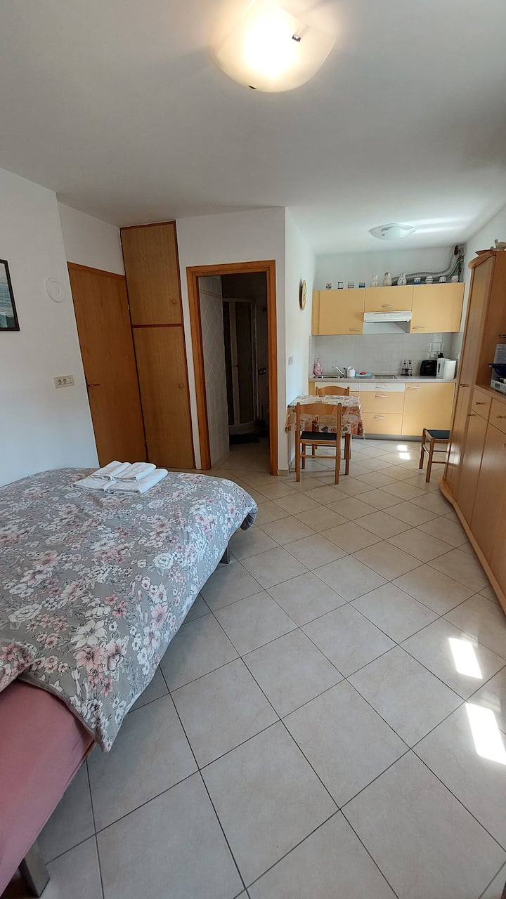 Studio Apartment Teo - Cres