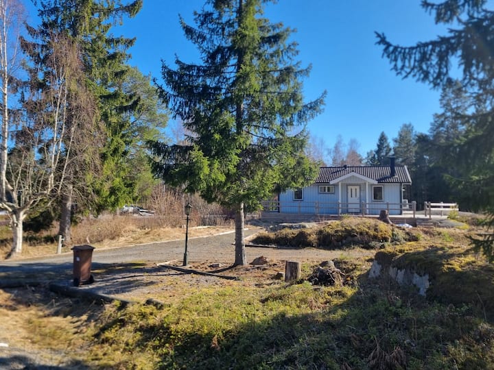 Strandnära Hav, Nolsterbystrand - Öregrund