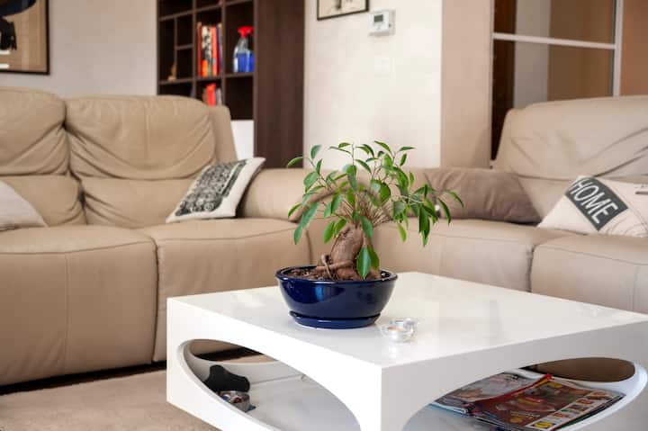 Villa Caterina House For 5 Downtown Rovinj-rovigno - Rovinj