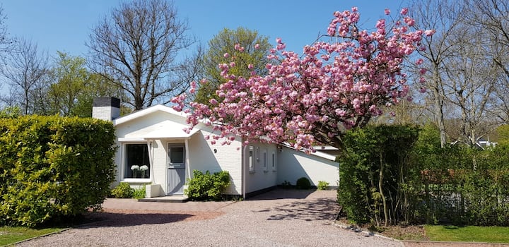 Dunopark 9, Oostkapelle - Oostkapelle