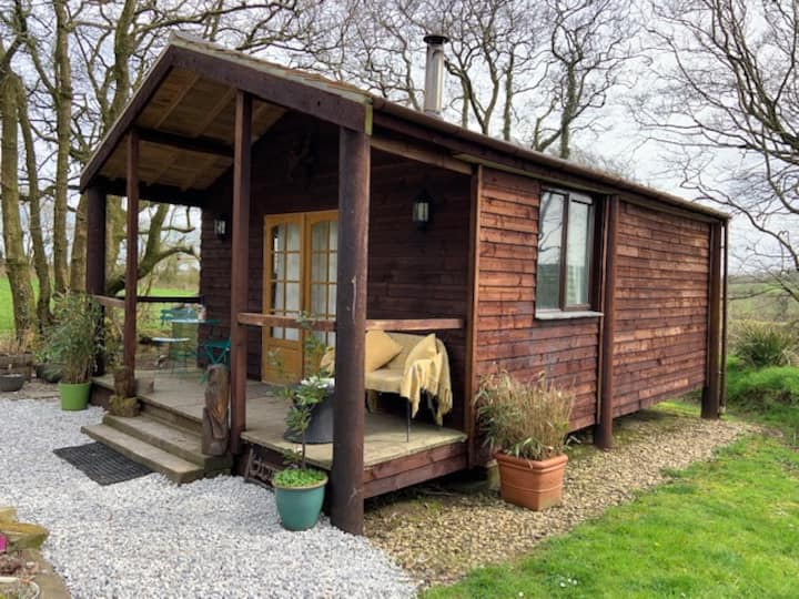 Little Cabin In The Woods. - Clovelly