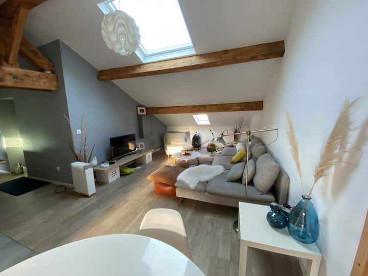 Sous Les Toits - Limite 6e - Sathonay-Camp