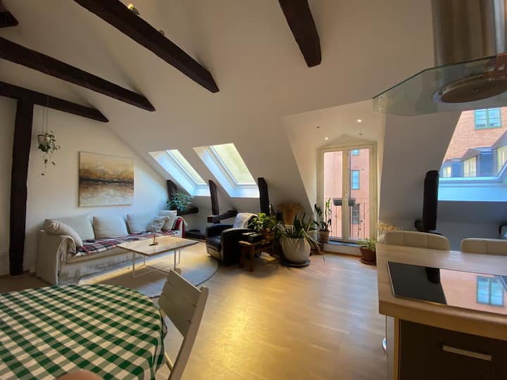 Attic Apartment At Best Location - Estocolmo