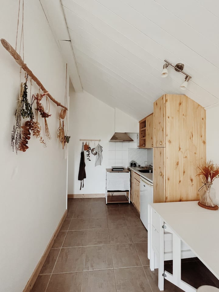 Le Studio Pour 4, Idéal Famille Ou Amis. - Alby-sur-Chéran