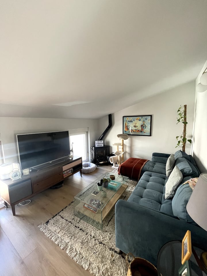 Charming Local's Apartment - Madrid