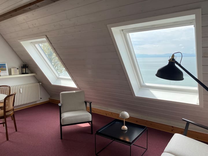 Grandioser Seeblick Für Familien Oder Paare - Langenargen