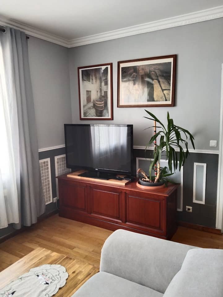 Merveilleux Appartement Andrea - Nogent-sur-Marne