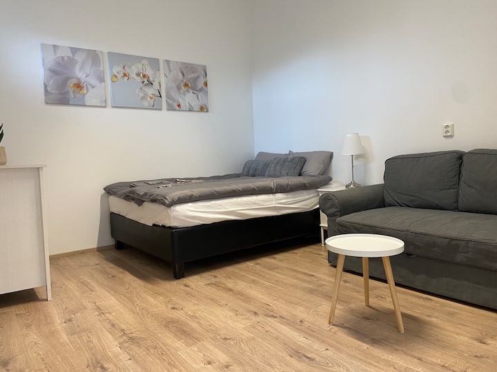 Comfortable Studio Apartment - Selfoss