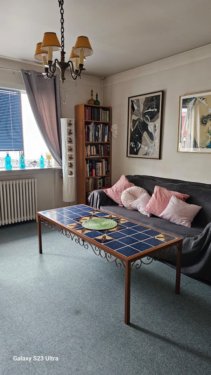 Retro Flat By The Marina - Reykjavík