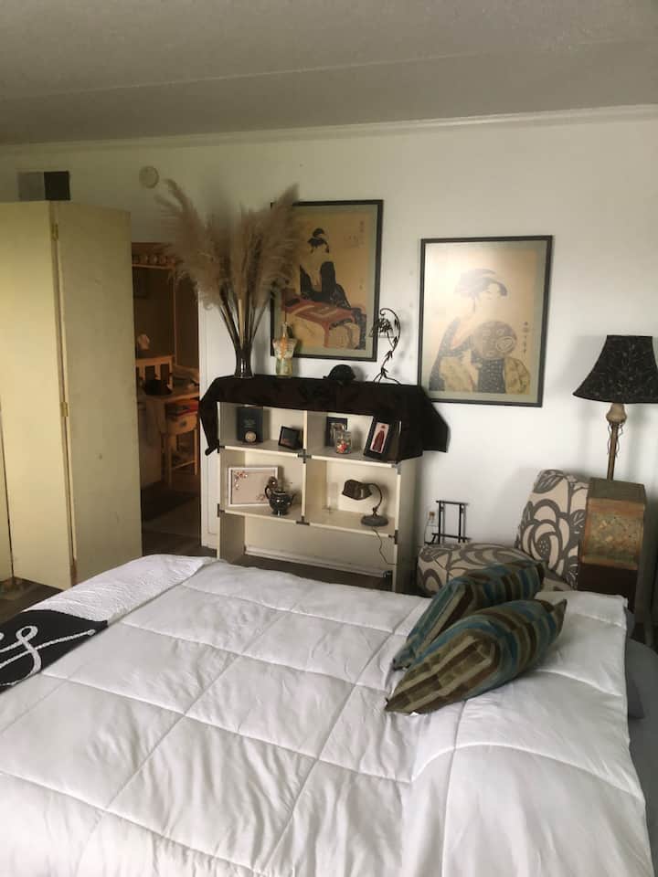 Secret Hideaway Music Row Entire  Apartment. - Nashville, TN