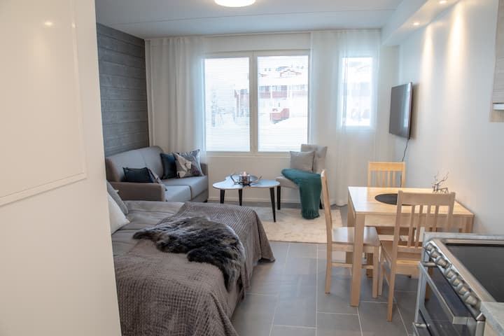 Superior Studio With Sauna 320 - Kittilä