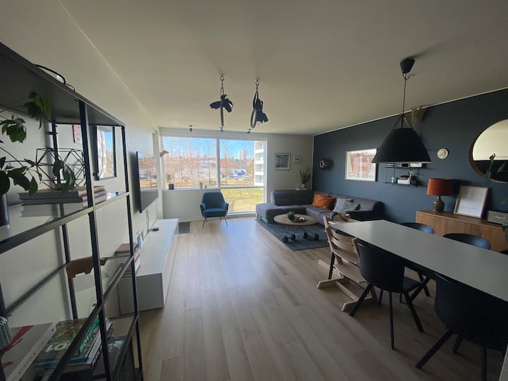 Family 3-room Apt. In Reykjavík - Reykjavík