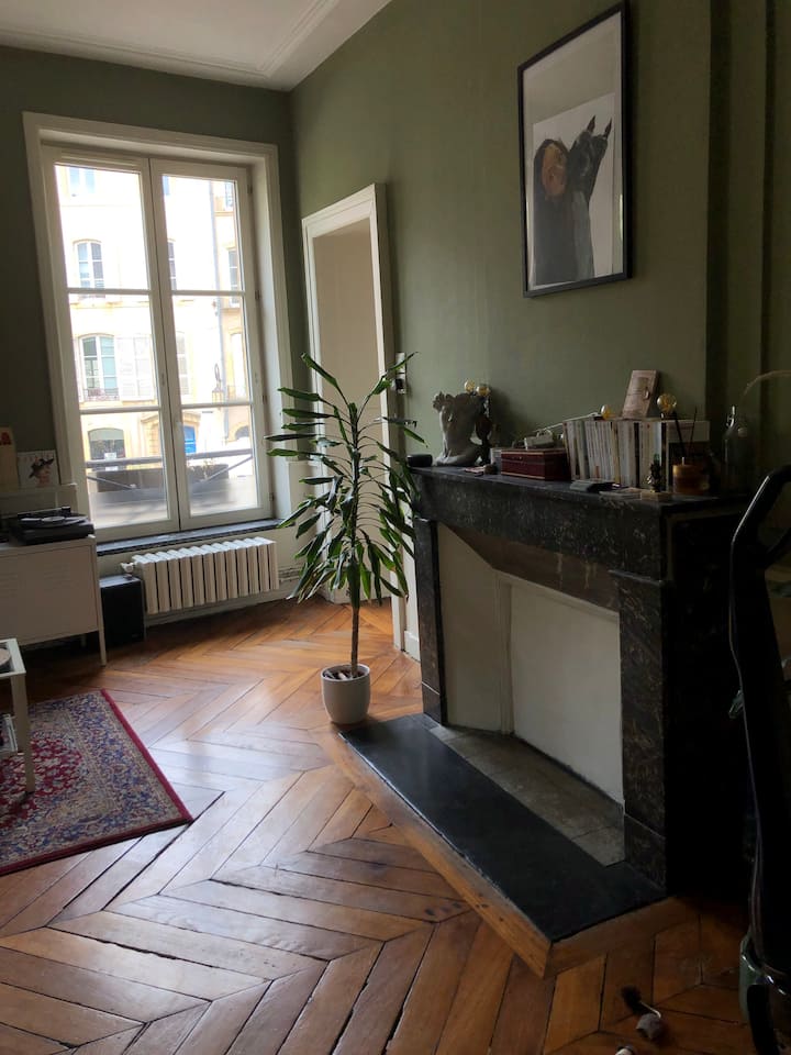 Metz : Appartement De Charme - Metz